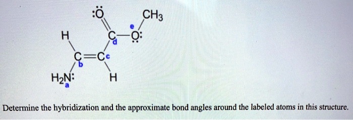SOLVED: CH3 0= HzN: Determine the hybridization and the approximate ...