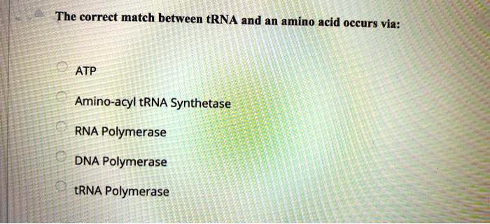 the correct match between trna and an amino acid occurs via atp amino ...