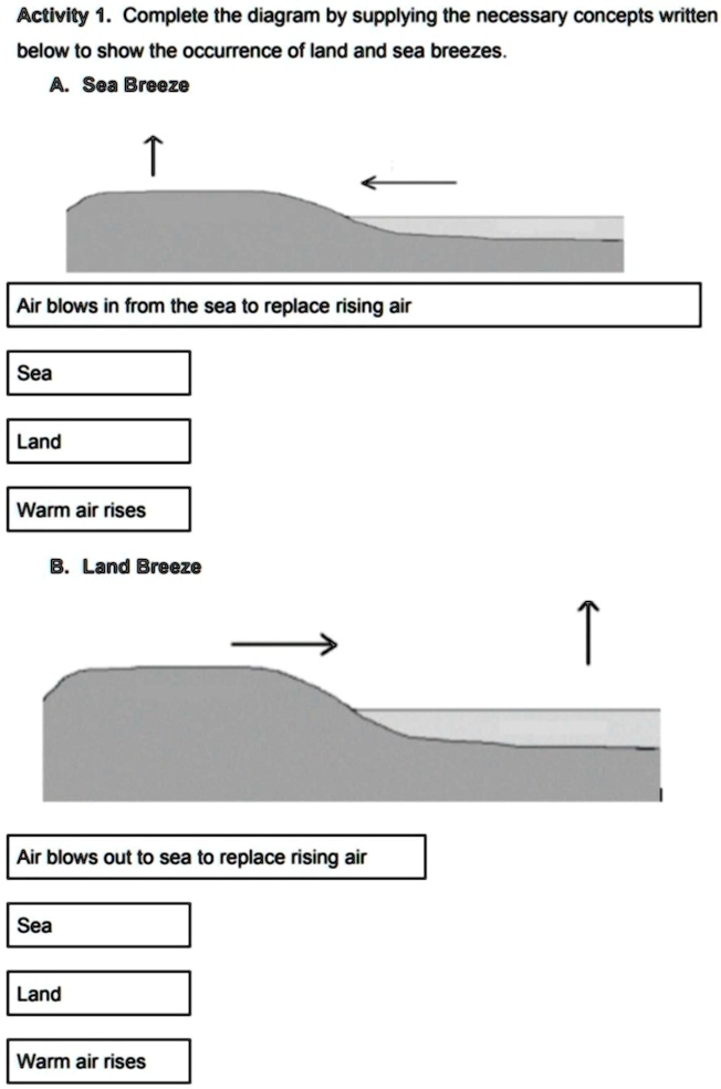 SOLVED: 'complete the diagram by supplying the necessary concepts ...