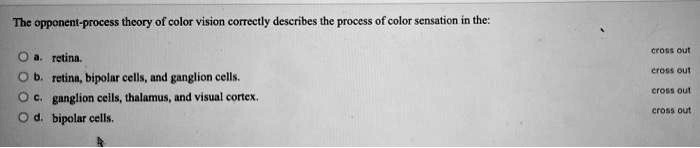 SOLVED: The opponent-process theory of color vision correctly describes ...
