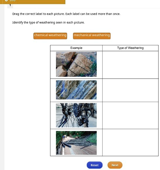 1 Drag the correct label to each picture. Each label can be used more than once. Identify the ...
