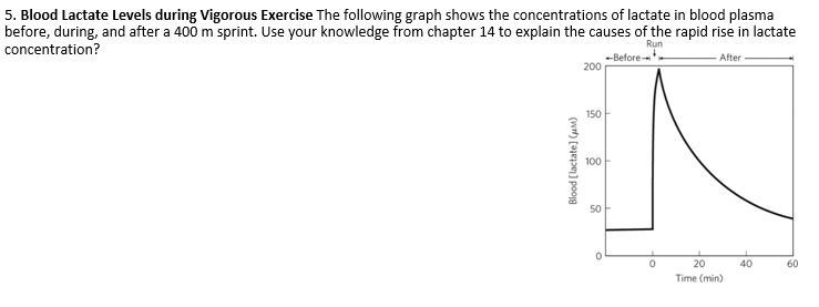 5 blood lactate levels during vigorous exercise the following graph ...