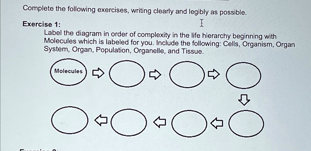 complete the following exercises writing clearly and legibly as possible exercise 1 label the ...