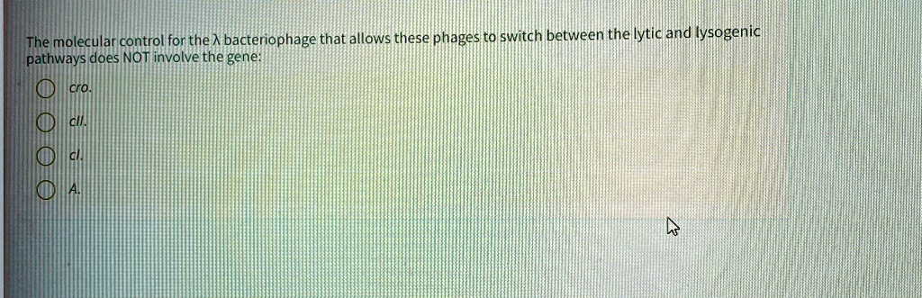 the molecular control for the lambda bacteriophage that allows these ...
