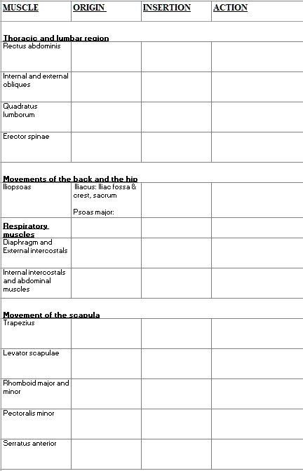 SOLVED: Fill in the Origin, Insertion, and Action of the following ...