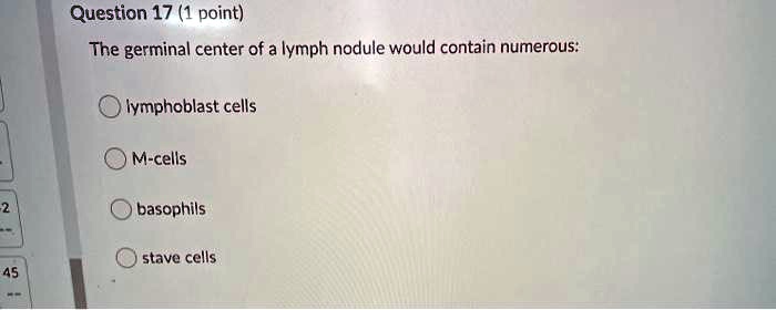 SOLVED: Question 17 (1 point) The germinal center of a lymph nodule ...