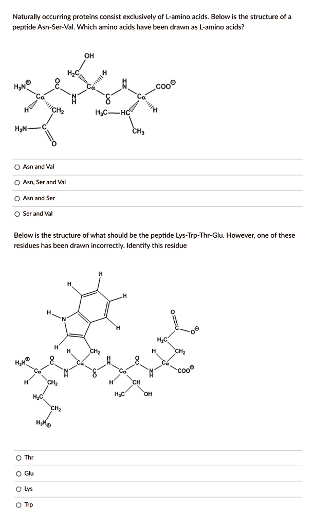 SOLVED: Naturally occurring proteins consist exclusively of L-amino ...