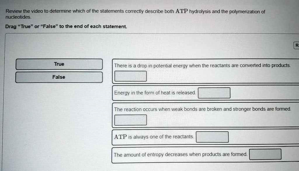 Review the video to determine which of the statements correctly describe both ATP hydrolysis and ...