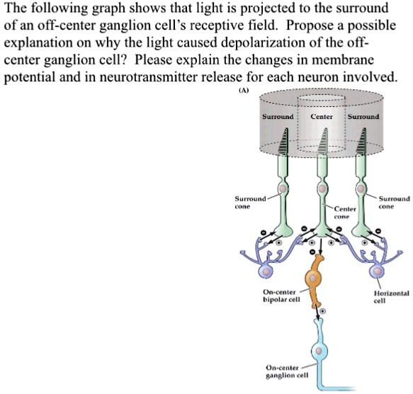 SOLVED: The following graph shows that light is projected to the ...