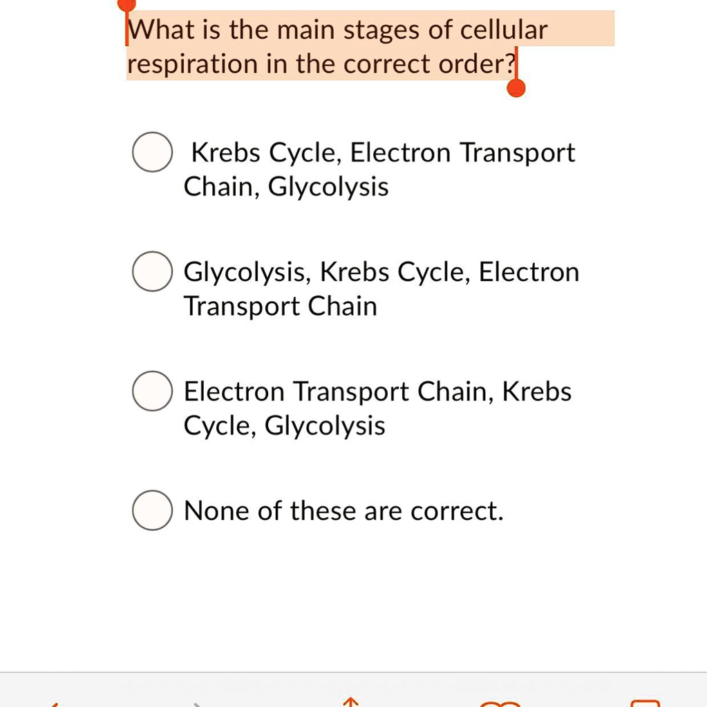 What is the main stages of cellular respiration in the correct order ...