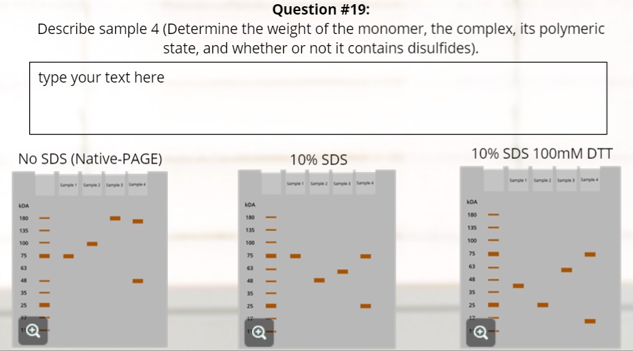 SOLVED: Question #19: Describe sample 4 (Determine the weight of the ...