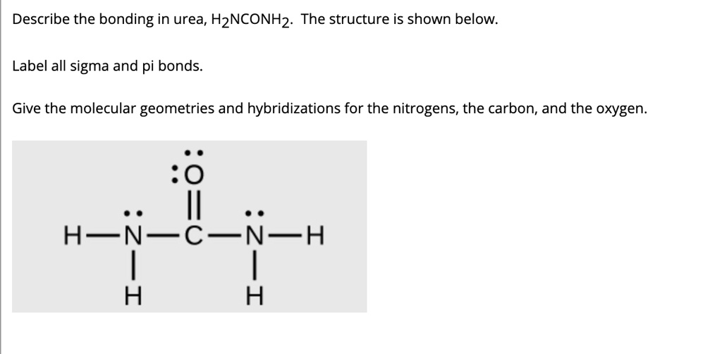 SOLVED: Describe the bonding in urea, H2NCONH2. The structure is shown ...