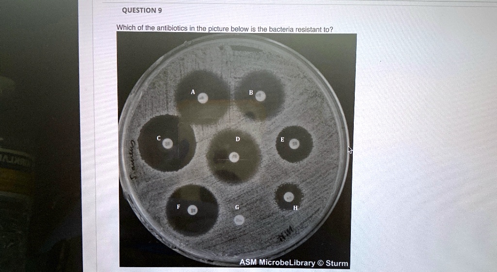 question 9 which of the antibiotics in the picture below is the ...