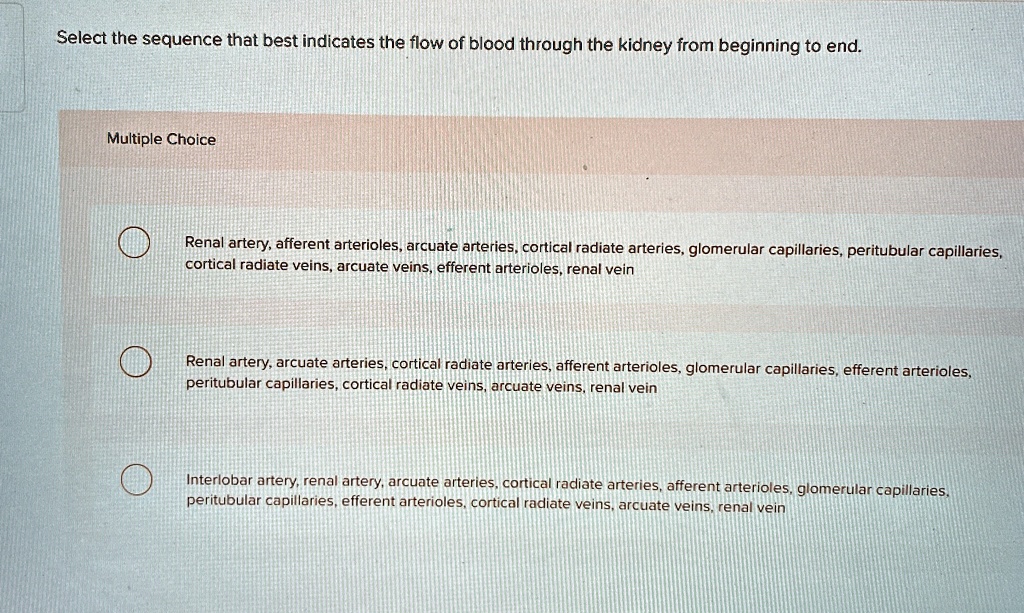 select the sequence that best indicates the flow of blood through the ...