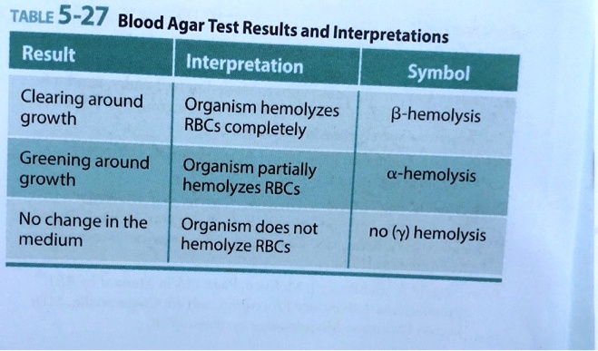 table 5 27 blood agar test results and iinterpretations result ...