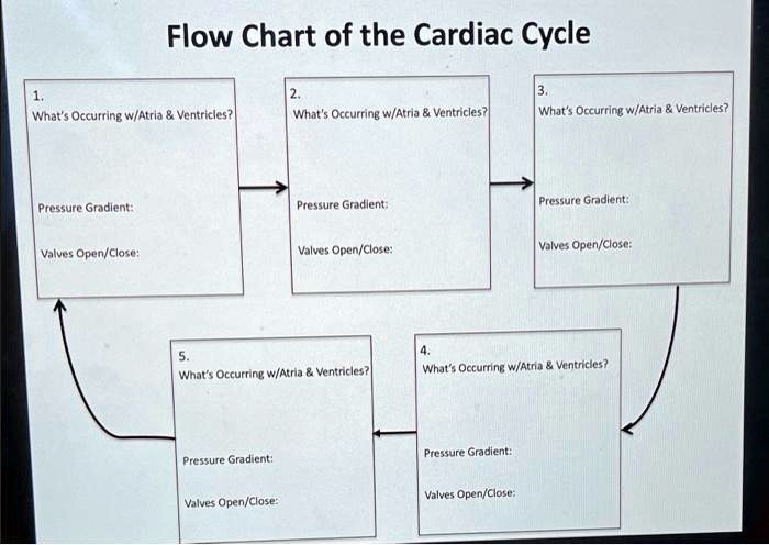 SOLVED: Flow Chart of the Cardiac Cycle What's Occurring with Atria Ventricles? What's Occurring ...