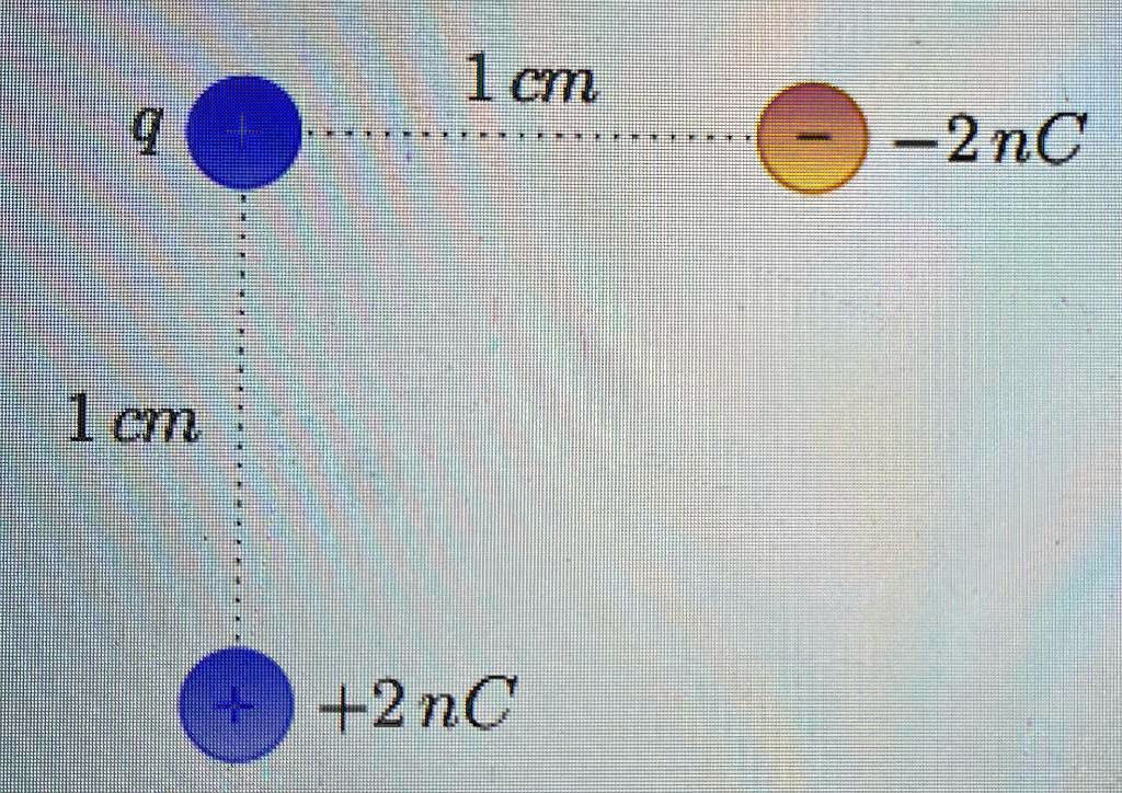 1 cm q + -2nC 1 cm +2nC