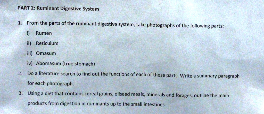 PART 2: Ruminant Digestive System 1. From the parts of the ruminant ...