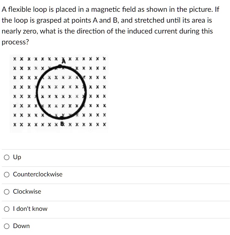 SOLVED: A flexible loop is placed in a magnetic field as shown in the picture. If the loop is ...