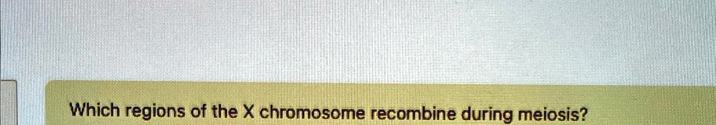 Which regions of the X chromosome recombine during meiosis?