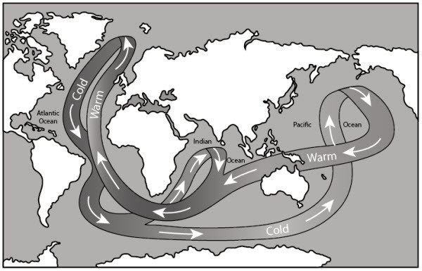 Atlantic Ocean Cold Warm Indian Ocean Pacific Ocean Warm Cold