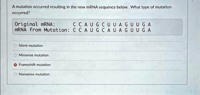 A mutation occurred resulting in the new mRNA sequence below. What type ...