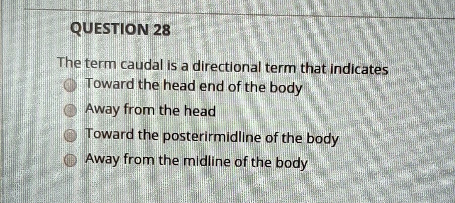 SOLVED: QUESTION 28 The term caudal Is a directional term that ...