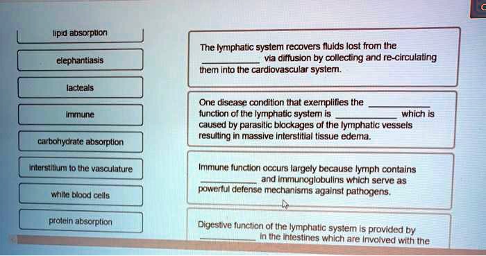 The lymphatic system recovers fluids lost from the body via diffusion by collecting and re ...