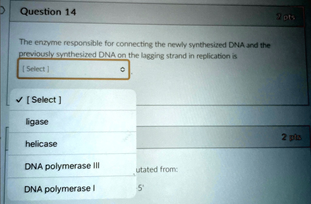 question 14 the enzyme responsible for connecting the newly synthesized dna and the previously ...