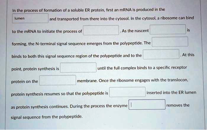 SOLVED: In the process of formation of a soluble ER protein; first an mRNA is produced in the ...