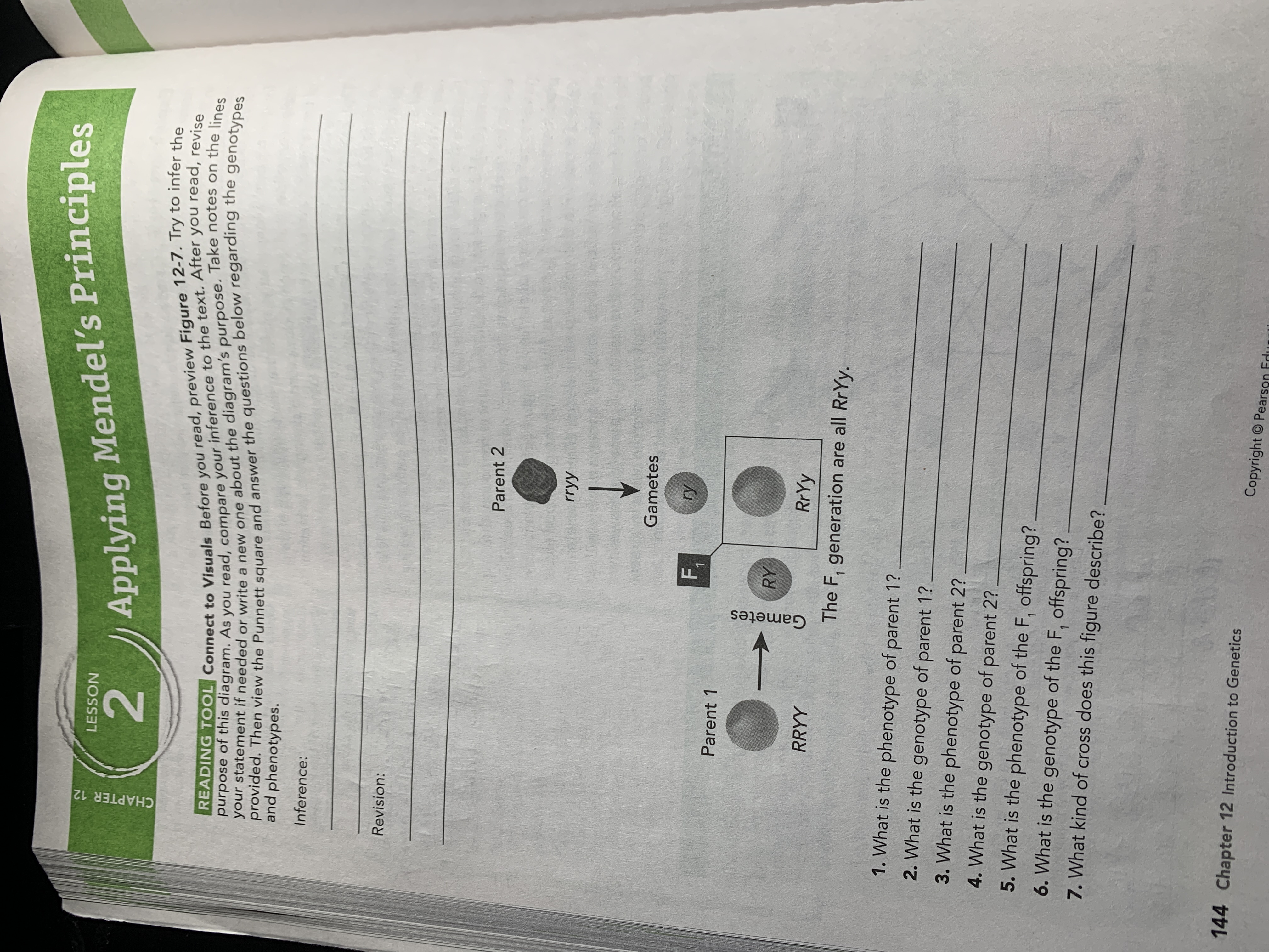 Applying Mendel's Principles READING TOOL Connect to Visuals Before you ...
