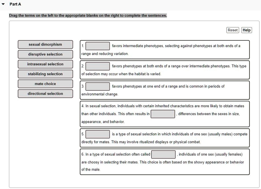 Solved Drag The Terms On The Left To The Appropriate Blanks On The Right To Complete The 