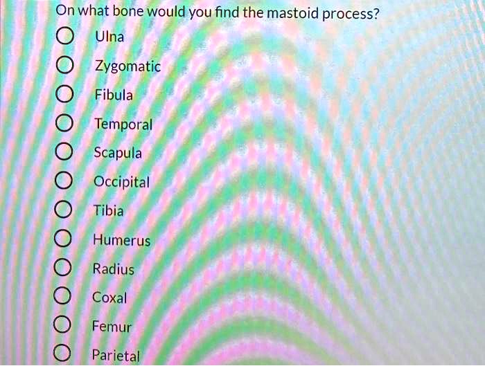 On what bone would you find the mastoid process? Ulna Zygomatic Fibulla ...