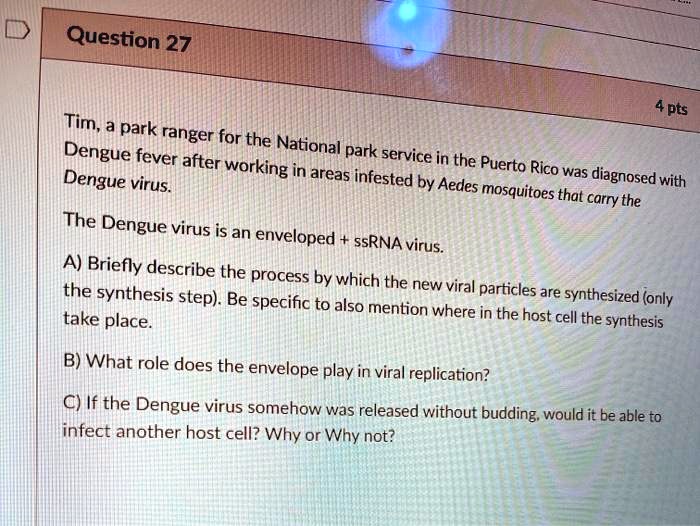question 27 4pts tim a park ranger for the dengue national fever after ...
