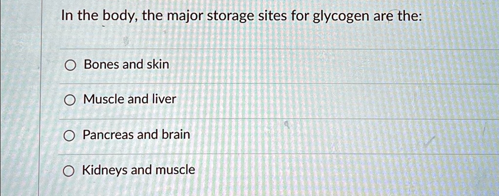 In the body, the major storage sites for glycogen are the: Bones and ...