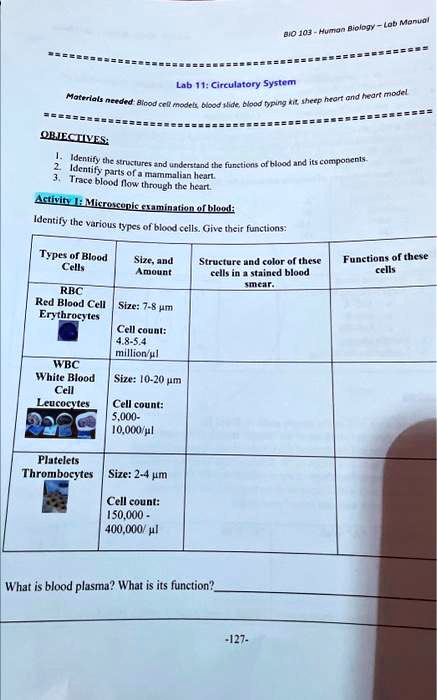 BIO 103-Human Biology-Lab Manual Lab 11: Circulatory System Materials ...