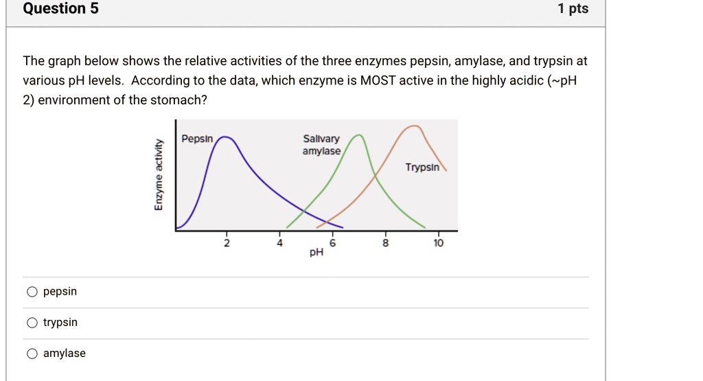 SOLVED: The graph below shows the relative activities of the three ...