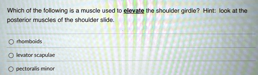 Which of the following is a muscle used to elevate the shoulder girdle ...