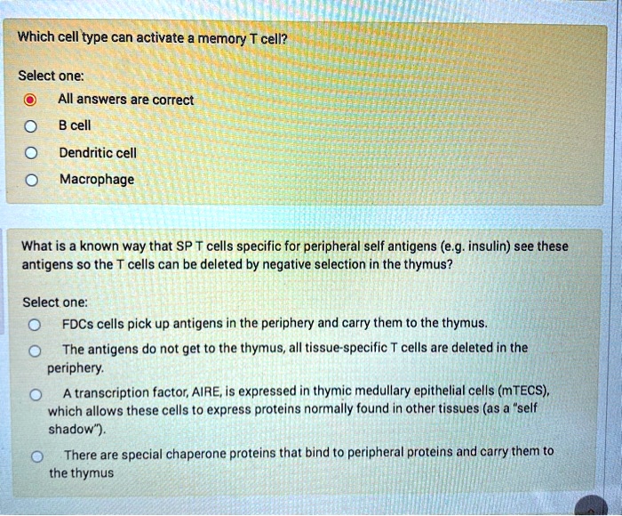 SOLVED: Which cell type can activate memory T cell? Select one: All answers are correct B cell ...