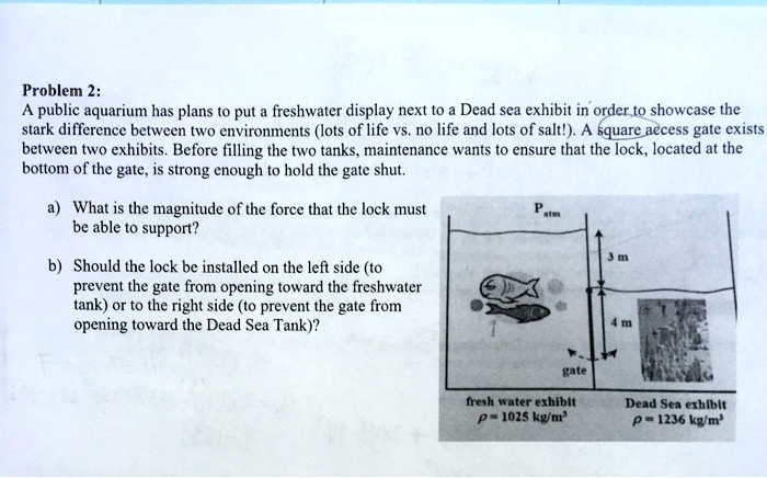 Problem 2: A public aquarium has plans to put a freshwater display next ...