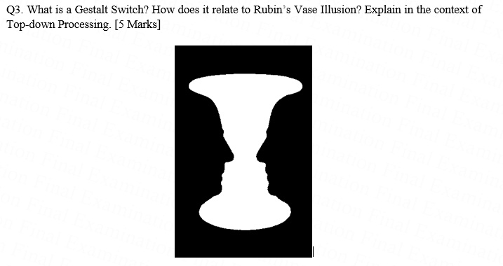 Q3. What is a Gestalt Switch? How does it relate to Rubin's Vase ...
