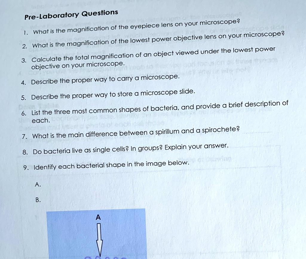 pre laboratory questions magnification of the eyepiece lens on your ...