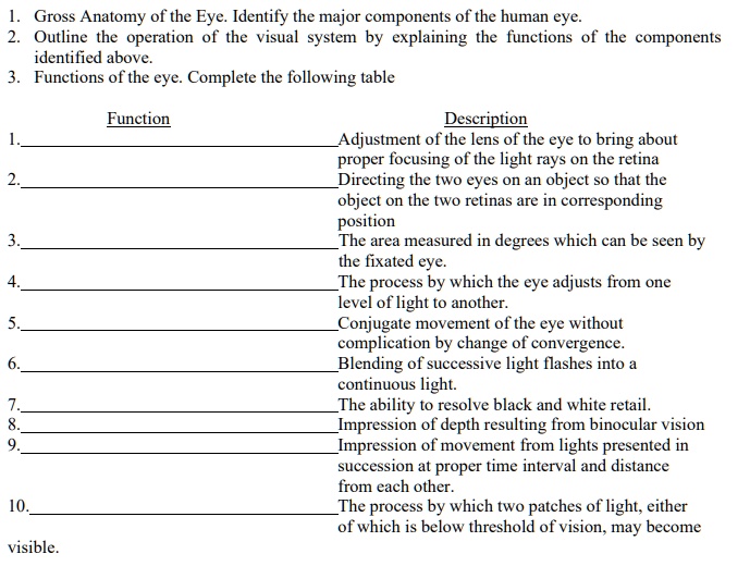 1. Gross Anatomy of the Eye. Identify the major components of the human ...