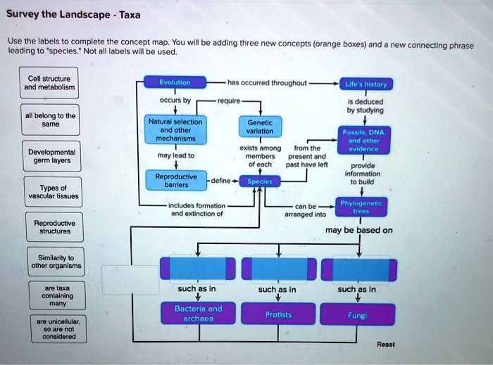 SOLVED: Text: Survey the Landscape of Taxa Use the labels to complete ...