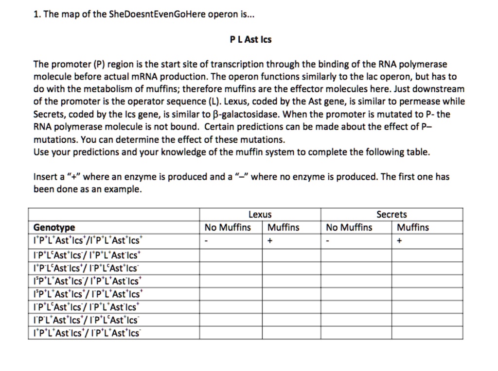 SOLVED: 1. The map of the SheDoesntEvenGoHere operon is P LAst Ics The promoter (P) region is ...