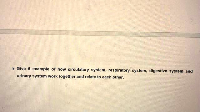 ? Give 6 example of how circulatory system, respiratory system ...