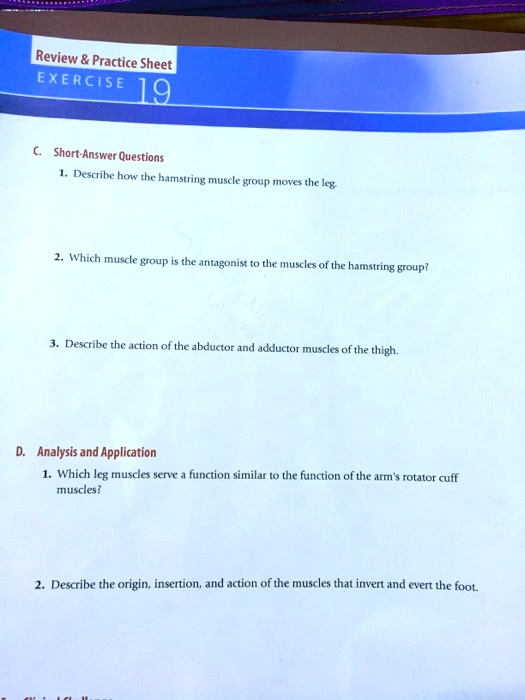 SOLVED: Describe how the hamstring muscle group moves the leg. Review ...