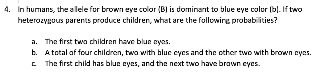 4 in humans the allele for brown eye color b is dominant to blue eye ...