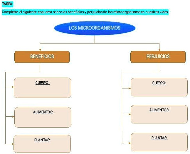 SOLVED: completa el siguiente esquema sobre los beneficios y perjuicios ... SOLVED: completa el siguiente esquema sobre los beneficios y perjuicios ...