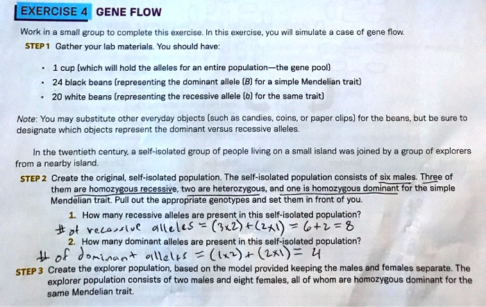 Exercise 4 gene flow work in small group complete this...